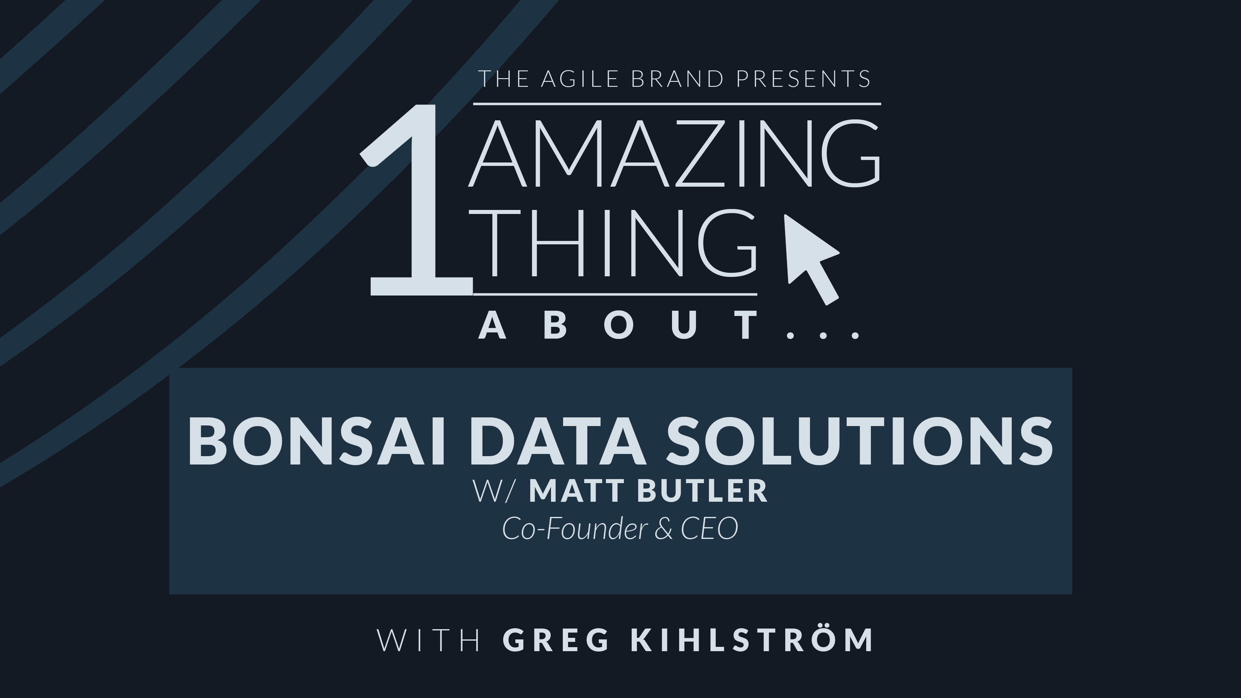#9: One Amazing Thing About Bonsai Data Solutions with Matt Butler ...